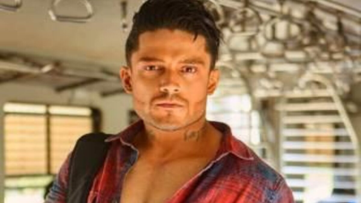 सिद्धार्थ भारद्वाज ने मोहित सूरी पर लगाए गंभीर आरोप, बोले- 'इंडस्ट्री से बाहर वालों को कुत्ता ...